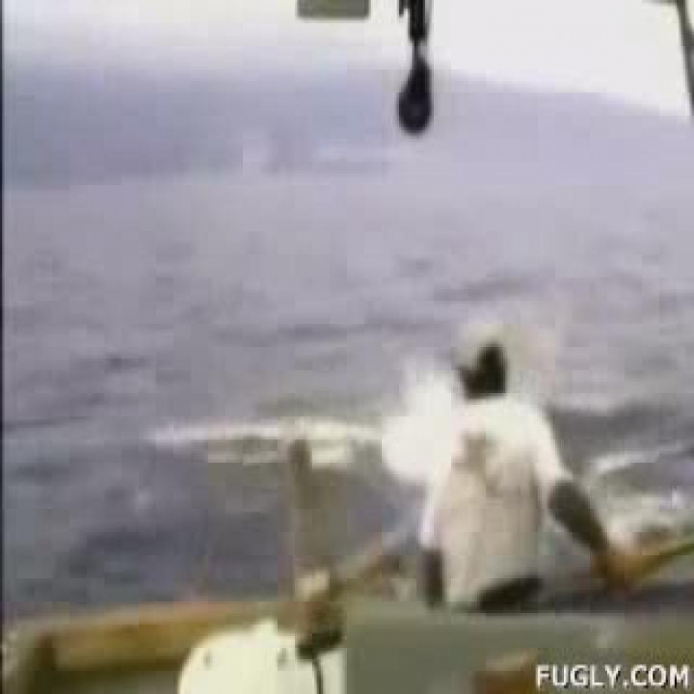 A nagy hal. - indavideo.hu