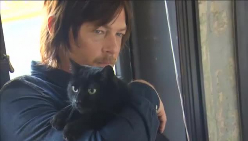 Norman Reedus Poses with His Cat, and It's Adorable - indavideo.hu
