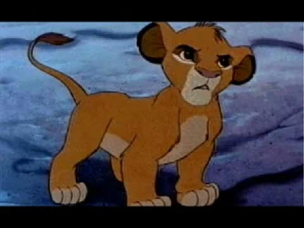 Simba pictures (no audio ) - indavideo.hu