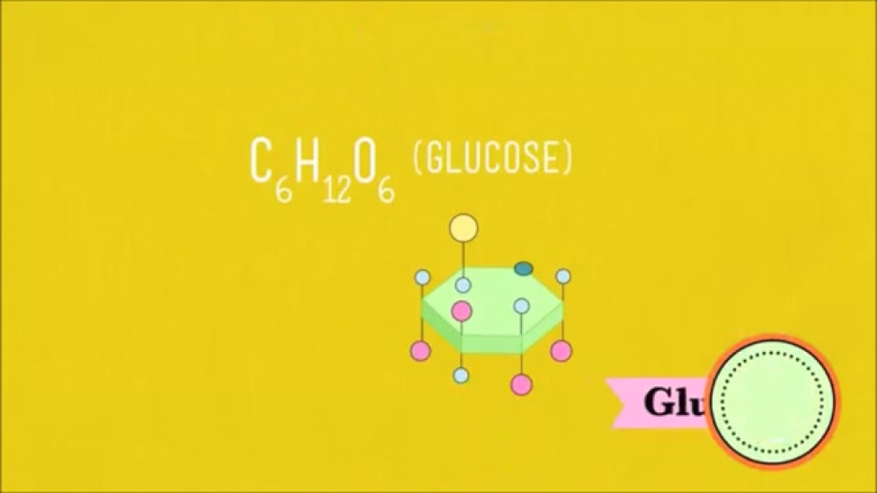 Crash course anatomy physio ATP Respiration - indavideo.hu