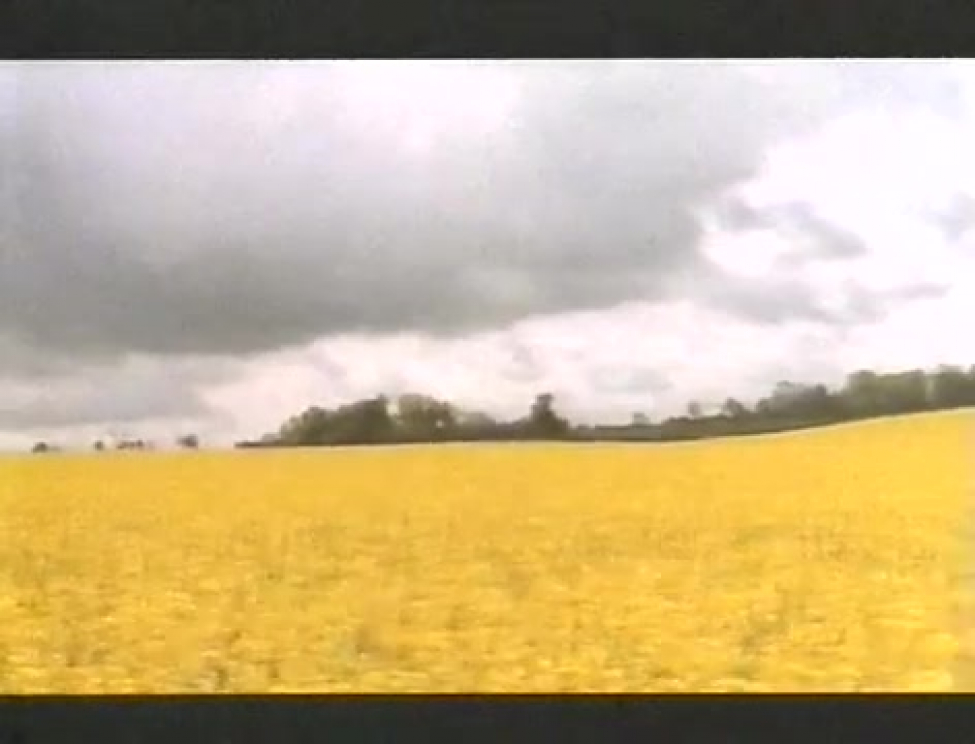 The Landscape Channel - Art Of Landscape Part 07 - indavideo.hu