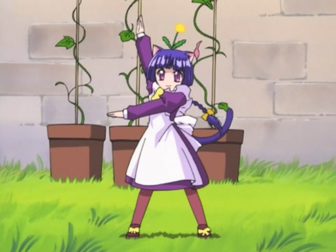 Magical Nyan Nyan Taruto - 2. rész [Magyar Felirattal] - indavideo.hu